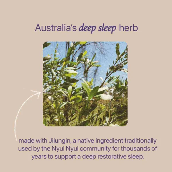 Roogenic Native Sleep Tea - Wellness Nutrition Middle Park